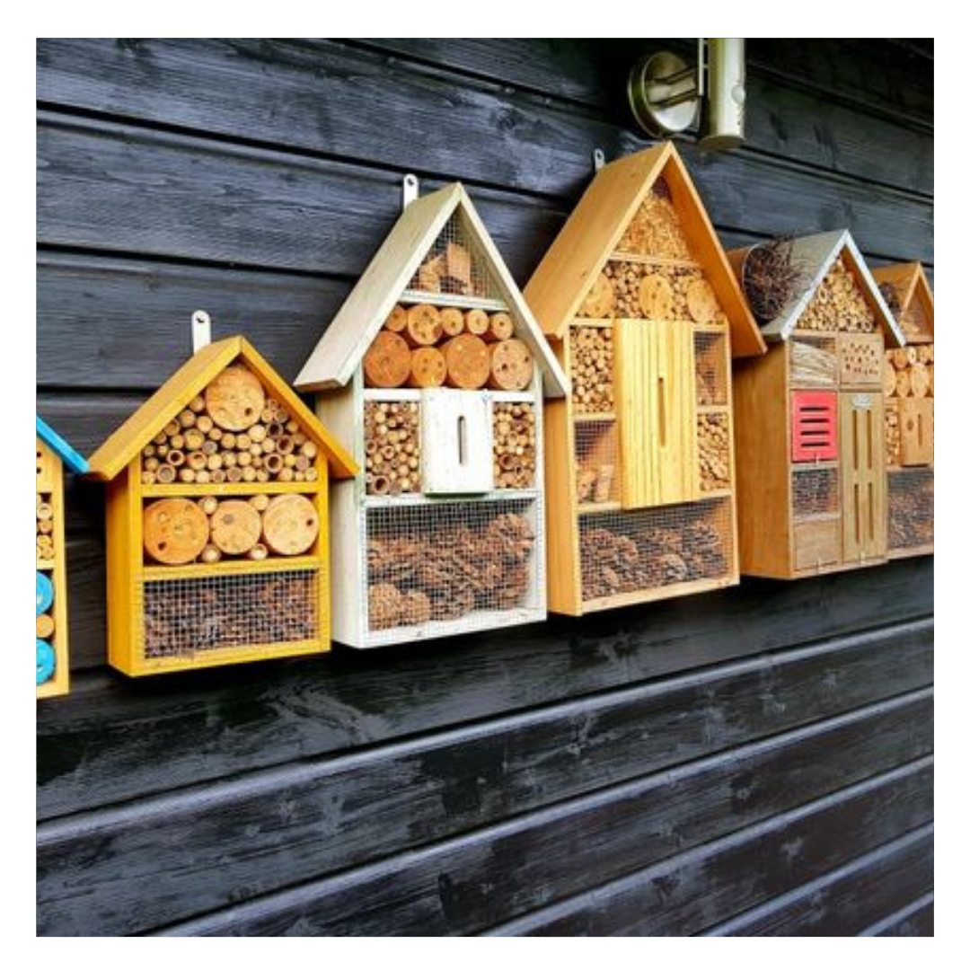 [ COMMENT CONSTRUIRE SA MAISON D'INSECTES ? ] - Les Maisons Du Groupe